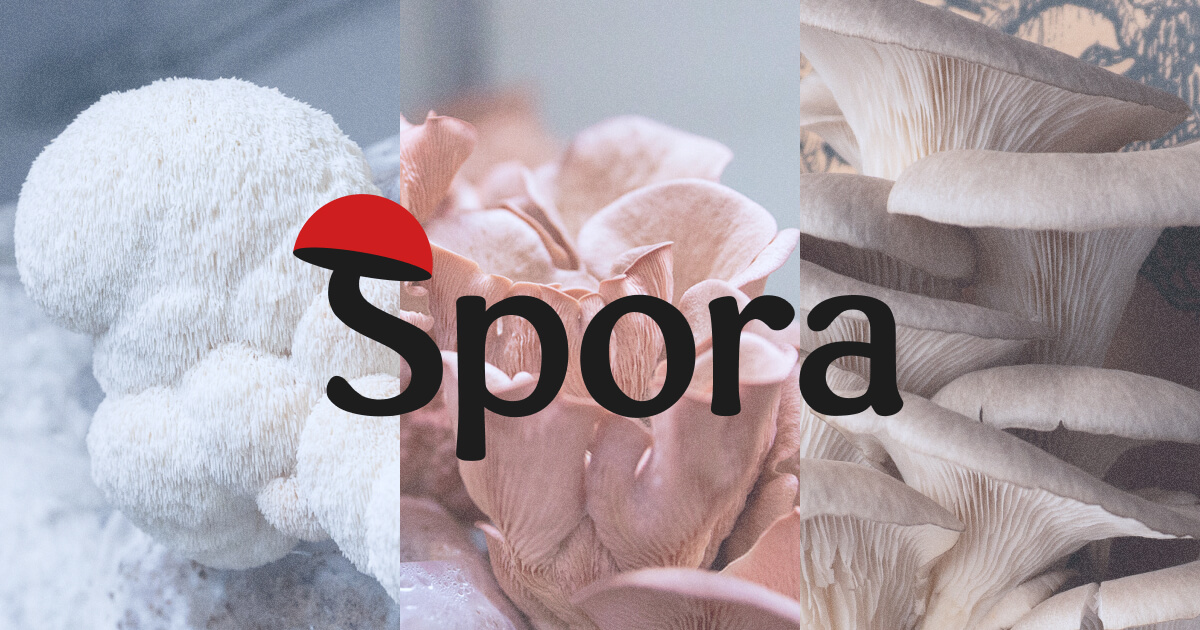 Sēņu laboratorija Spora